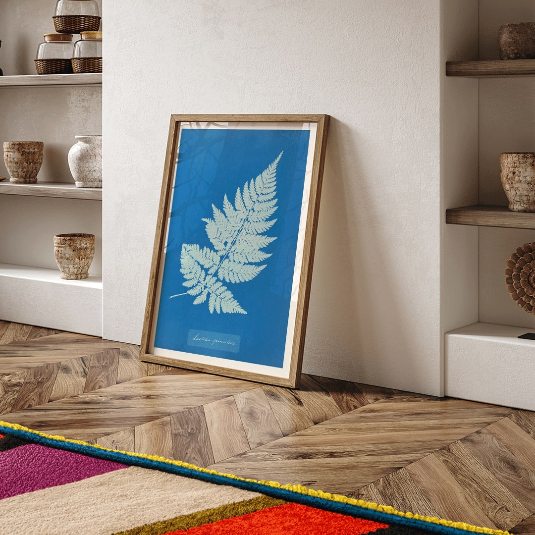 Poster | Fern Cyanotype Lastrea Spinulosa by Anna Atkins | MORYARTY