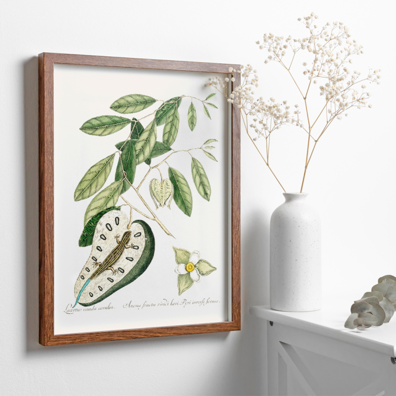 Blue Tail Lizard Posters And Frames